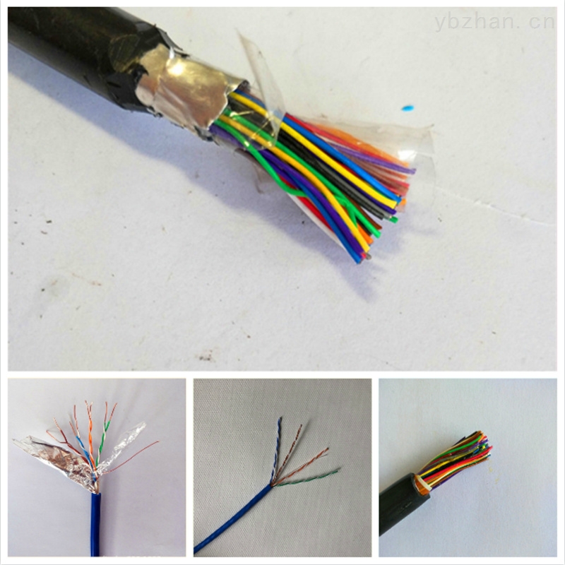 DJYPV DJYPV计算机屏蔽信号电缆DJYPV-仪表网
